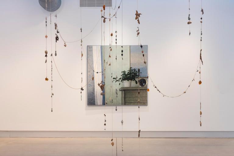 TWO TAKES ON TOMAYKO: EVERY SPECK OF DUST ILLUMINATED – PETRICHOR